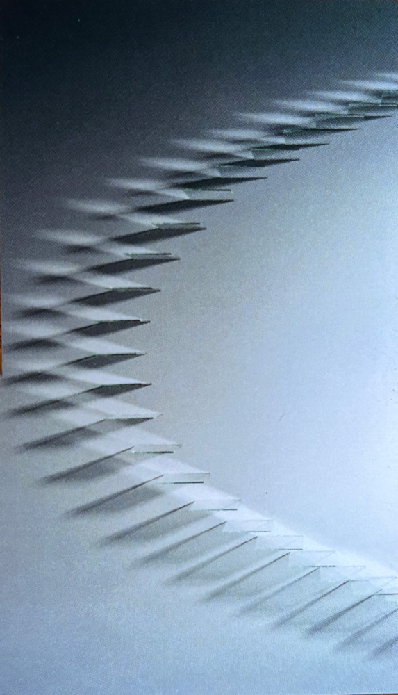 Light, Shadow, Glass - Michelle Cooke